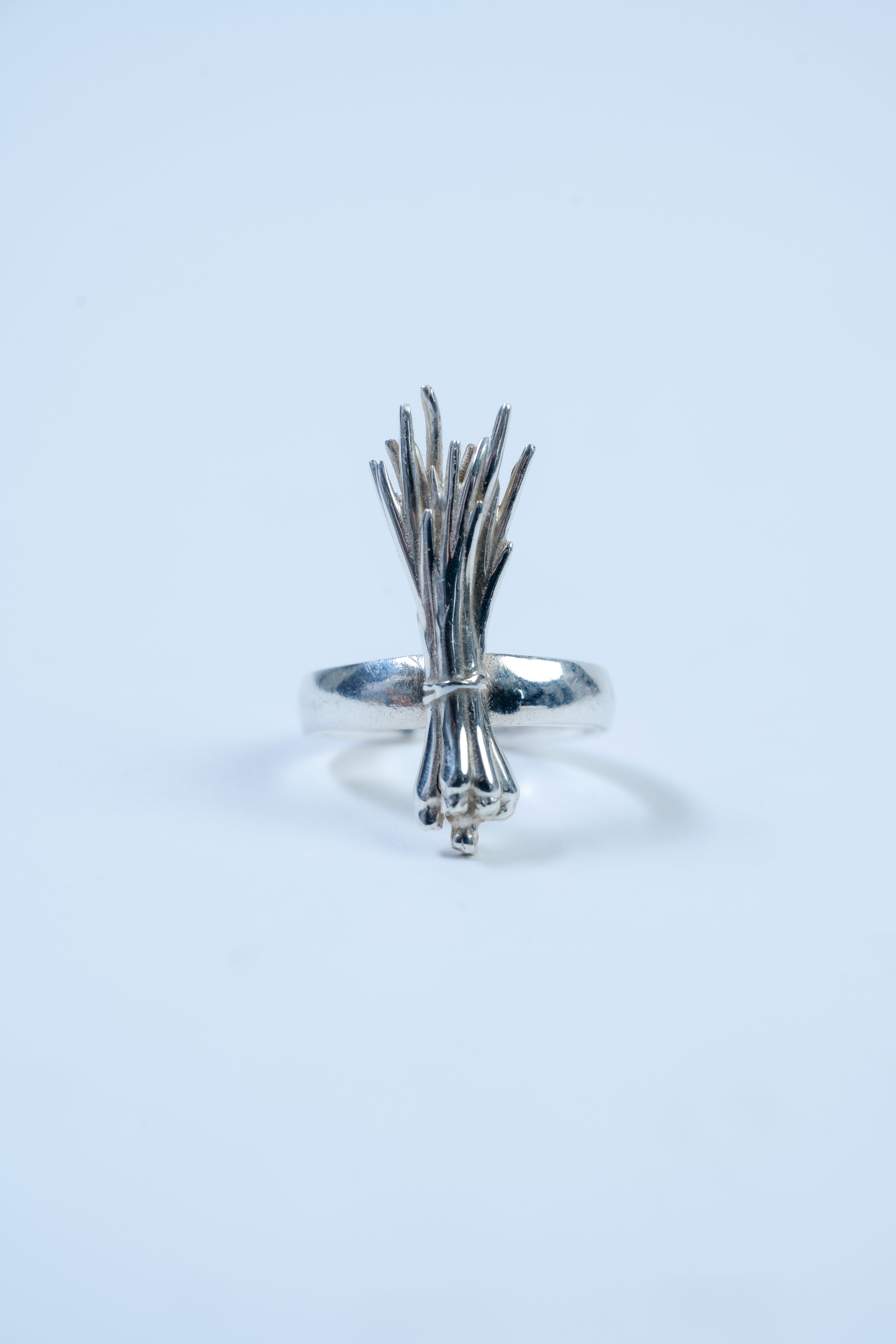 GREEN ONION RING – Doobymart